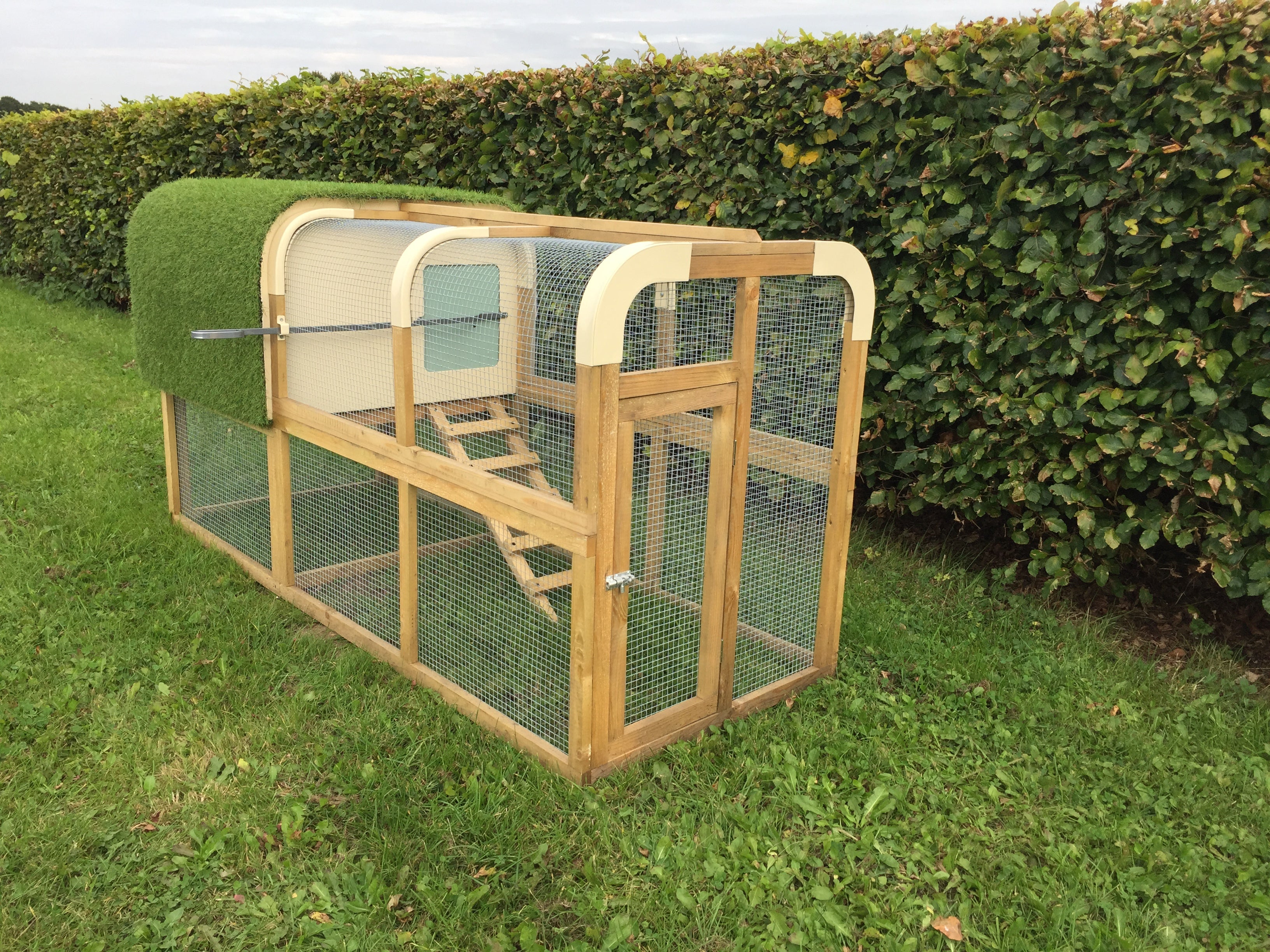 Chicken Coop and Run, Ideal for Comfort and Freedom – Chuck Huts